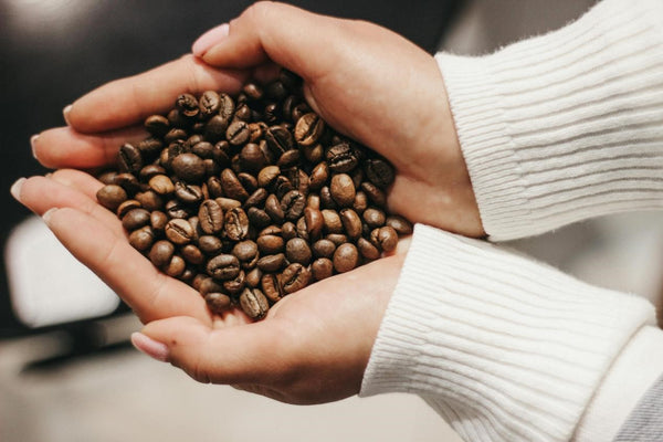 Colombian Coffee: Why It’s a Global Favorite – Java Sunrise Coffee